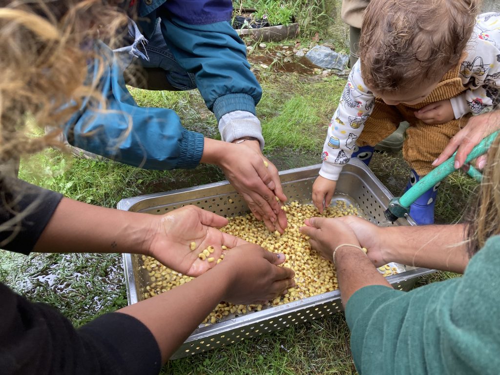 Nipmuc Land Project Pequiog Farm – Tamalpais Trust